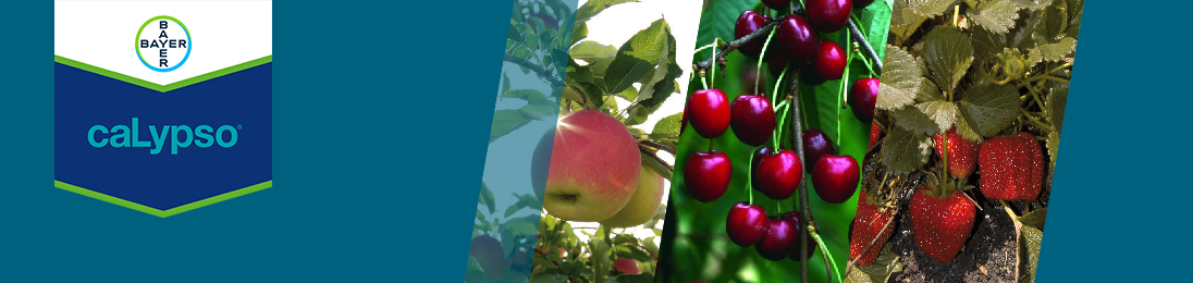 Bayer CropScience Norge